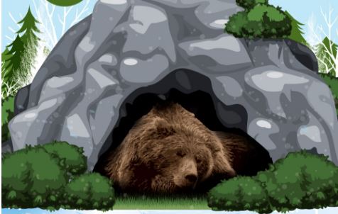 Everything You Wanted to Know about Hibernation